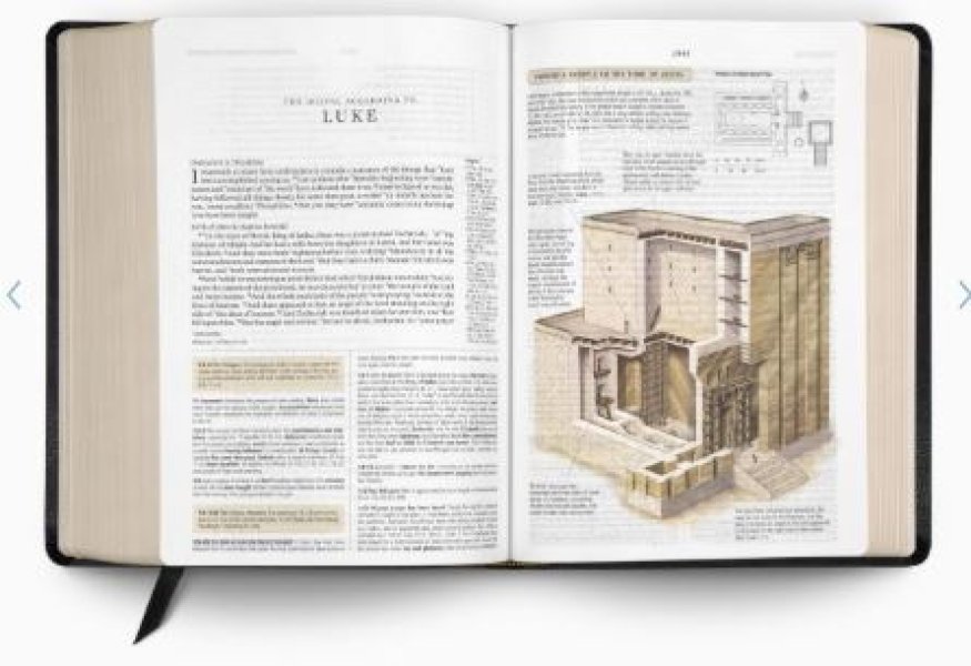 ESV Study Bible (Portfolio)